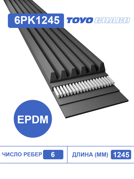 Ремень ручейковый 6PK1245 Toyoguard купить на OZON по низкой цене ...