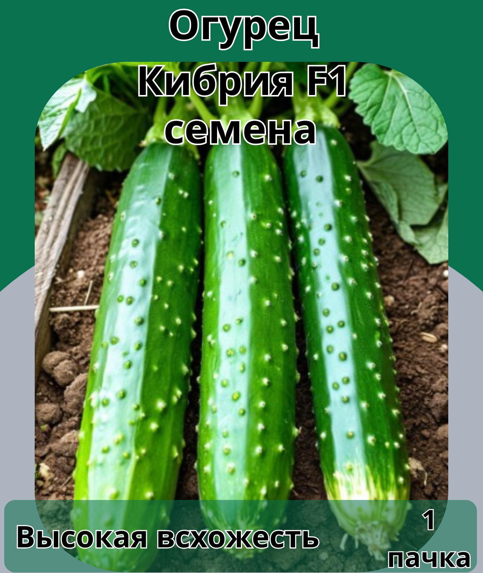 15 OZON 3211298830 15-ozon-3211298830