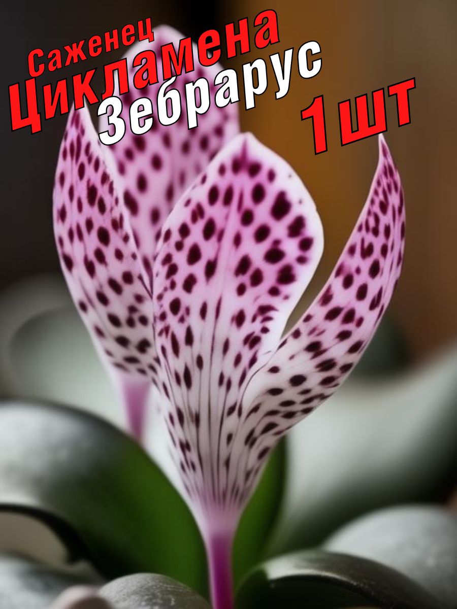 Корни,1шт купить на OZON по низкой цене (3333567338)
