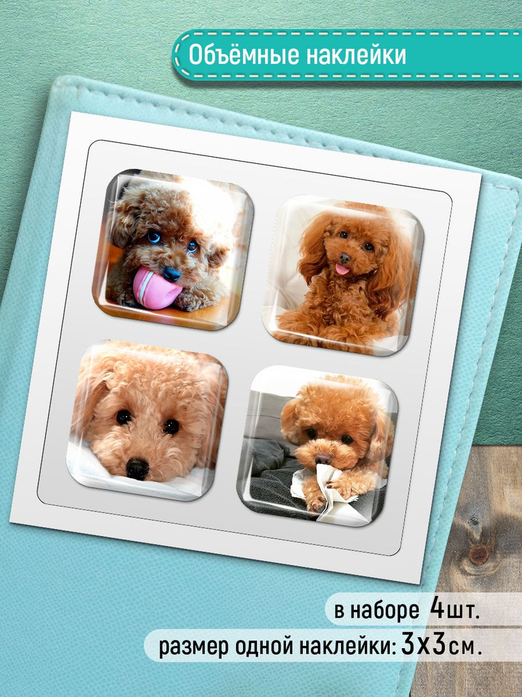Стикеры на телефон 3D - Пудели объемные наклейки собачки купить на OZON ...