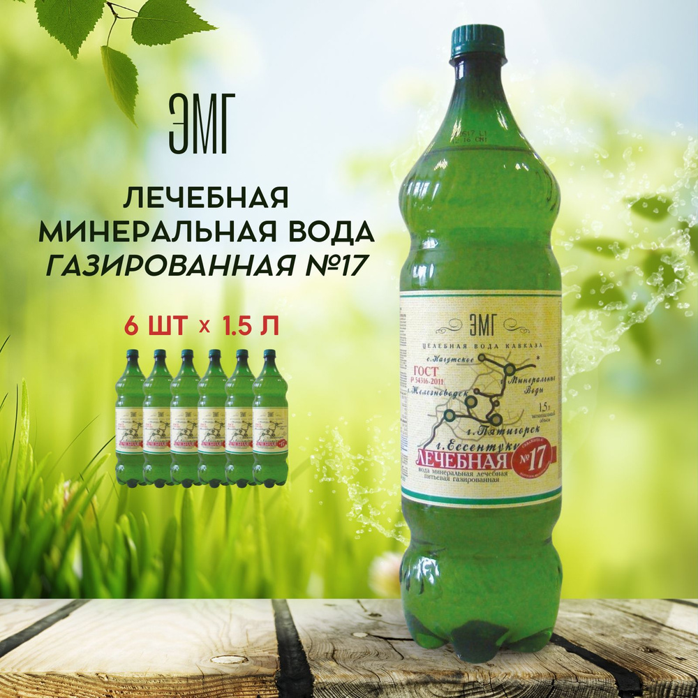 Вода питьевая минеральная 6шт х 1,5л газировка ЭМГ Лечебная 17 - купить ...