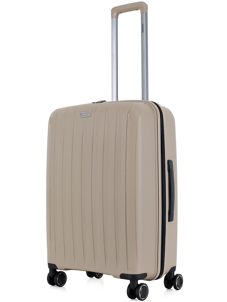 Robinzon Чемодан Полипропилен 65 см 63 л купить на OZON по низкой цене (1805685920)