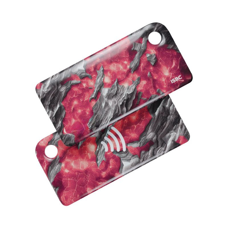 Электронный ключ Брелок ISBC с двумя чипами MIFARE Classic 1K 4B и ...