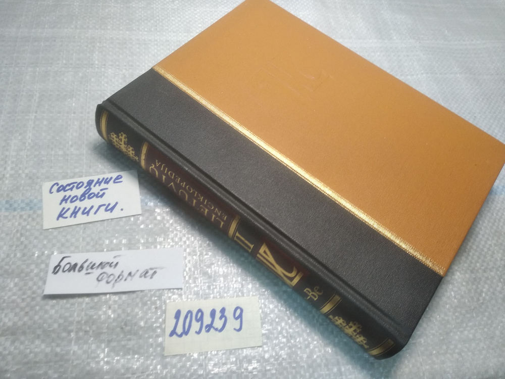 Visuotin lietuvi enciklopedija или VLE (в переводе Универсальная ...