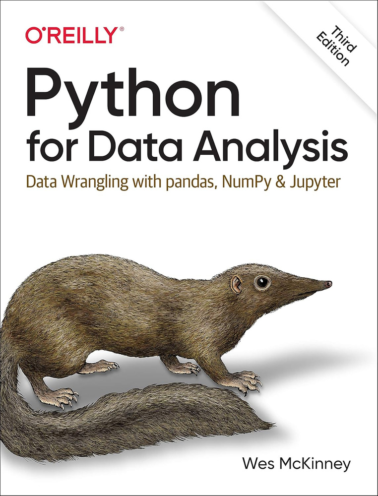 Python for Data Analysis: Data Wrangling with pandas, NumPy, and ...