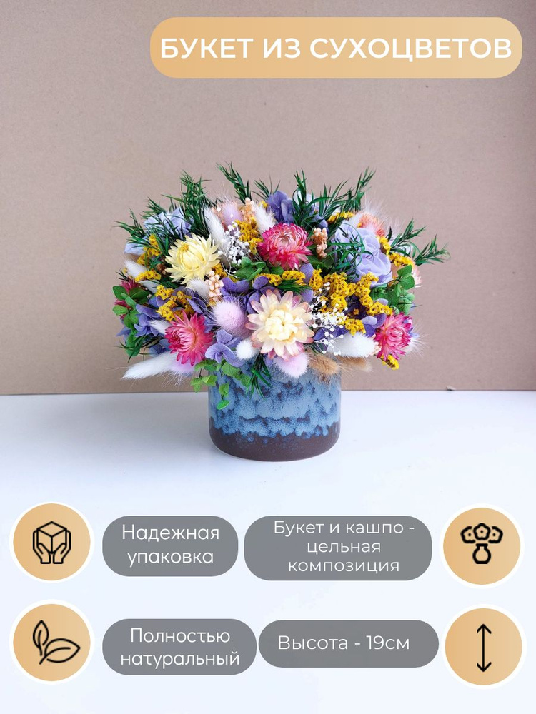 Сухоцветы Озотамнус, Гелихризум, 19 см, 450 гр, 1 шт купить на OZON по низкой цене (2762836515)