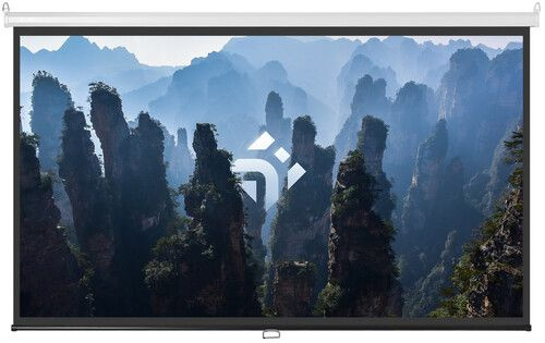 120" Экран для проектора DEXP WMD-120 купить на OZON по низкой цене (2582693119)