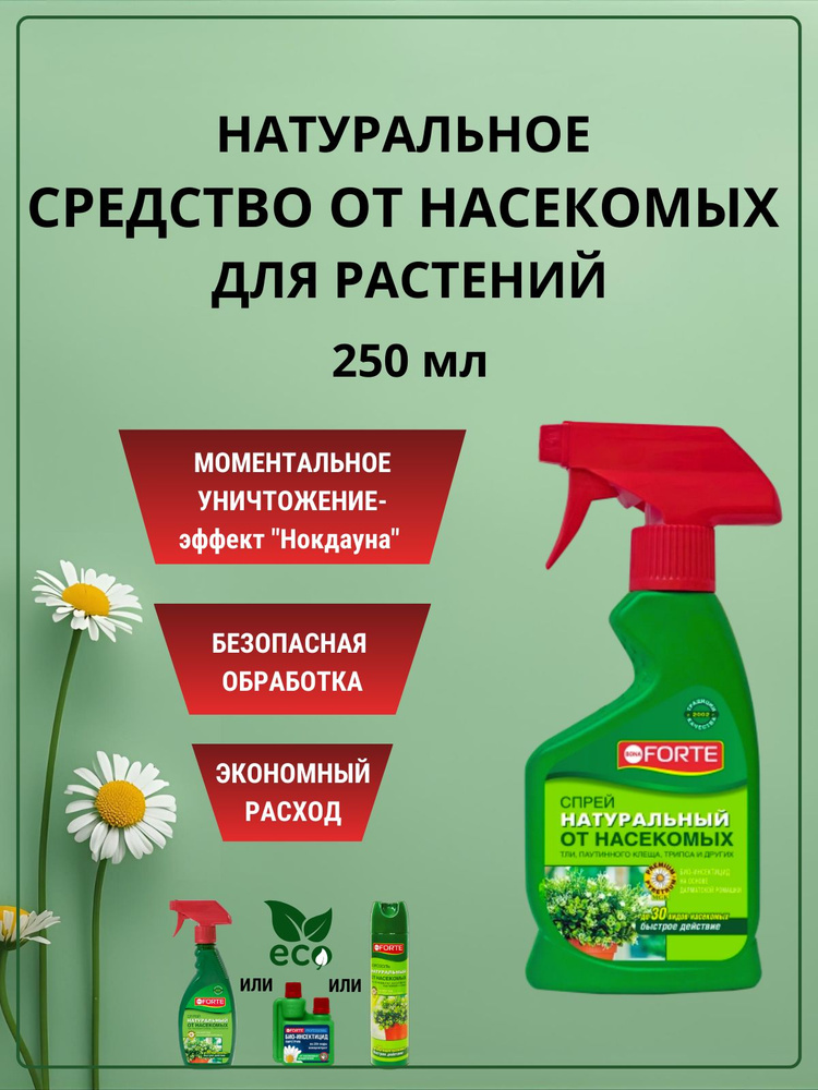 Subtyl Fort купить на OZON по низкой цене