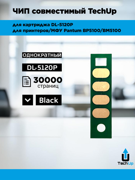 Чип TechUp для Pantum BP5100/BM5100 (DL-5120P), 30K купить на OZON по ...
