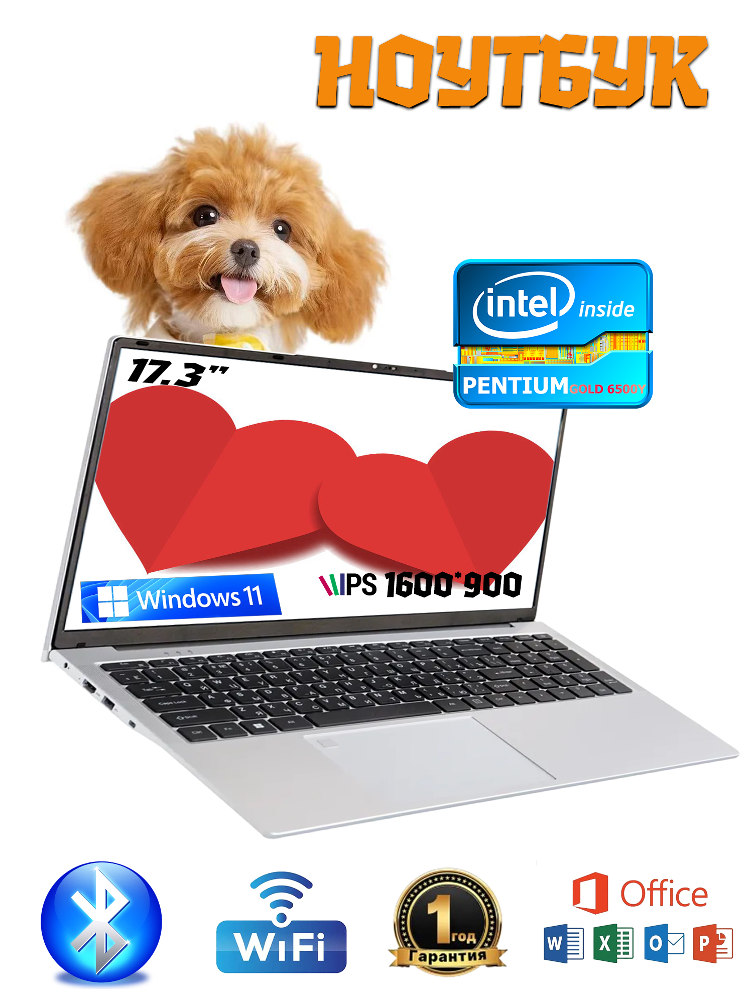 Характеристики wonttr Ноутбук 17.3", Intel Pentium Gold 6500Y, RAM 16 ...