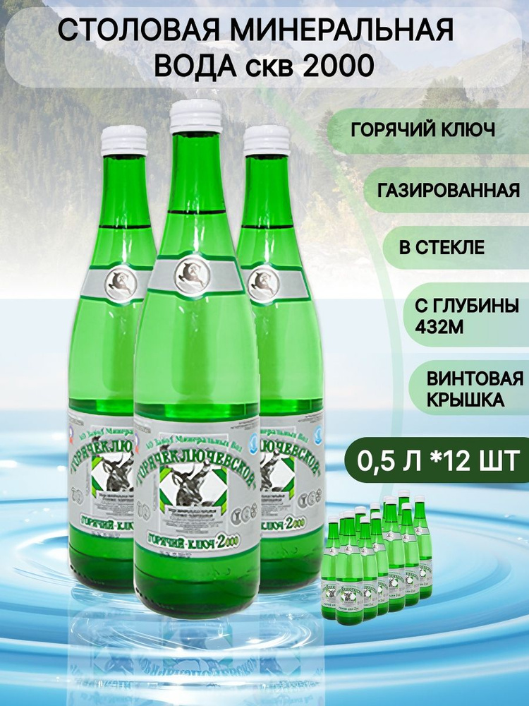 Вода минеральная Горячий ключ 2000 газированная 0.5л стекло - купить с ...