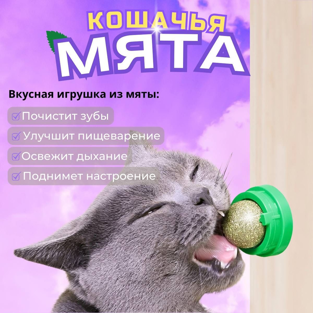 Кошачья мята шарик для кошек - купить с доставкой по выгодным ценам в ...