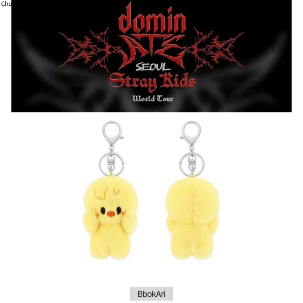Stray Kids - dominATE SEOUL Официальный MD SKZOO MAGNET PLUSH KEYRING ...