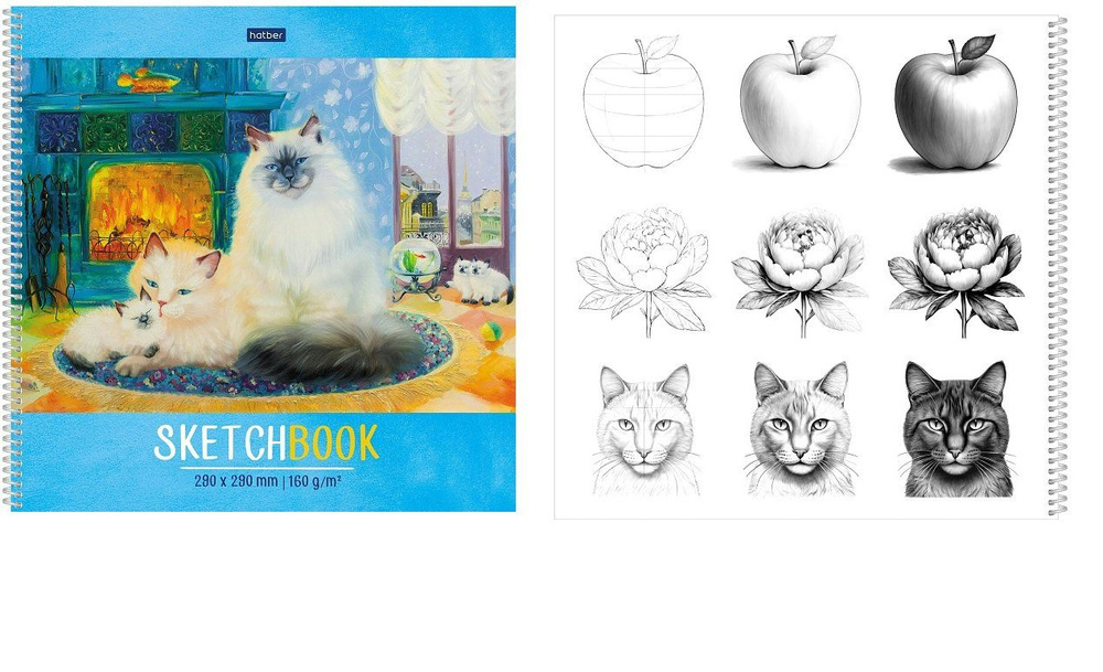 Скетчбук 32 листа Hatber А4 290х290 спираль Premium Кошкин дом 160г/м2 купить на OZON по низкой ...