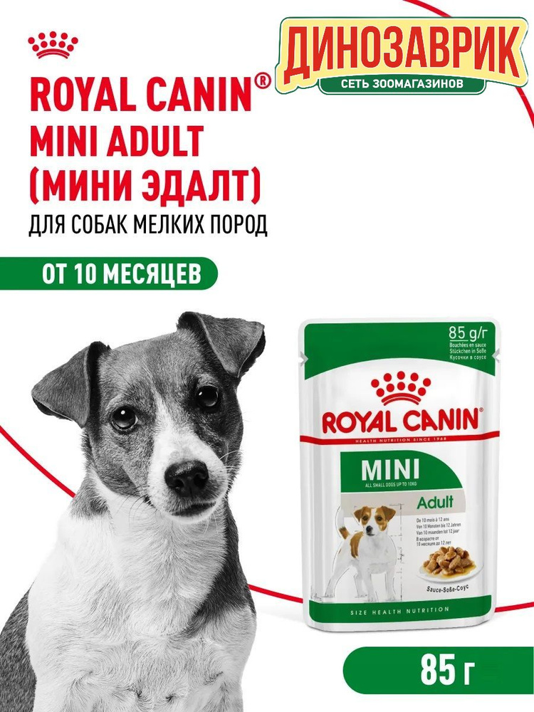 Влажный корм Royal Canin Mini Adult для взрослых собак мелких пород ...