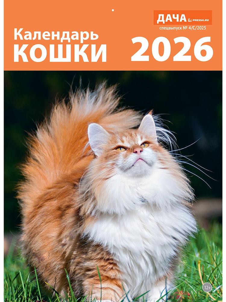 Календарь 2026 настенный перекидной купить на OZON по низкой цене (2755908458)