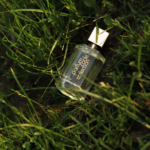 Giter Вода парфюмерная Women W04 50 мл купить на OZON по низкой цене ...