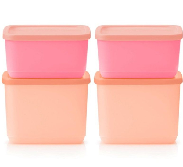 Tupperware Контейнер пищевой, 650 мл, 1000 мл, 4 шт купить на OZON по низкой цене (2406399322)