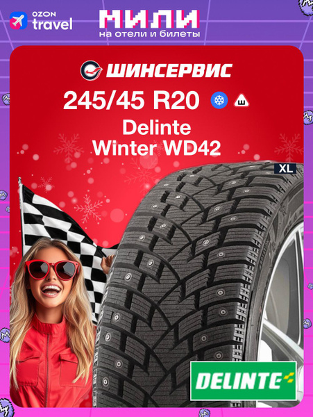 Delinte Winter WD42 Шины зимние 245/45 R20 103H Шипованные ...