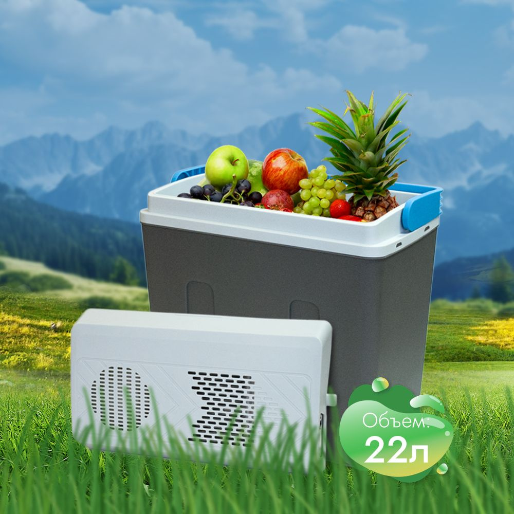 Автохолодильник AVS 22 литра / Холодильник автомобильный, 12в CC-22NB, сумка холодильник в ...