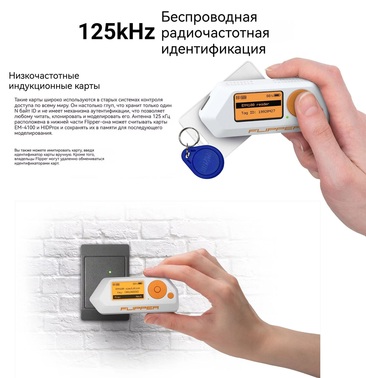 Flipper Zero host, маленький дельфин, портативное многофункциональное устройство купить на OZON ...