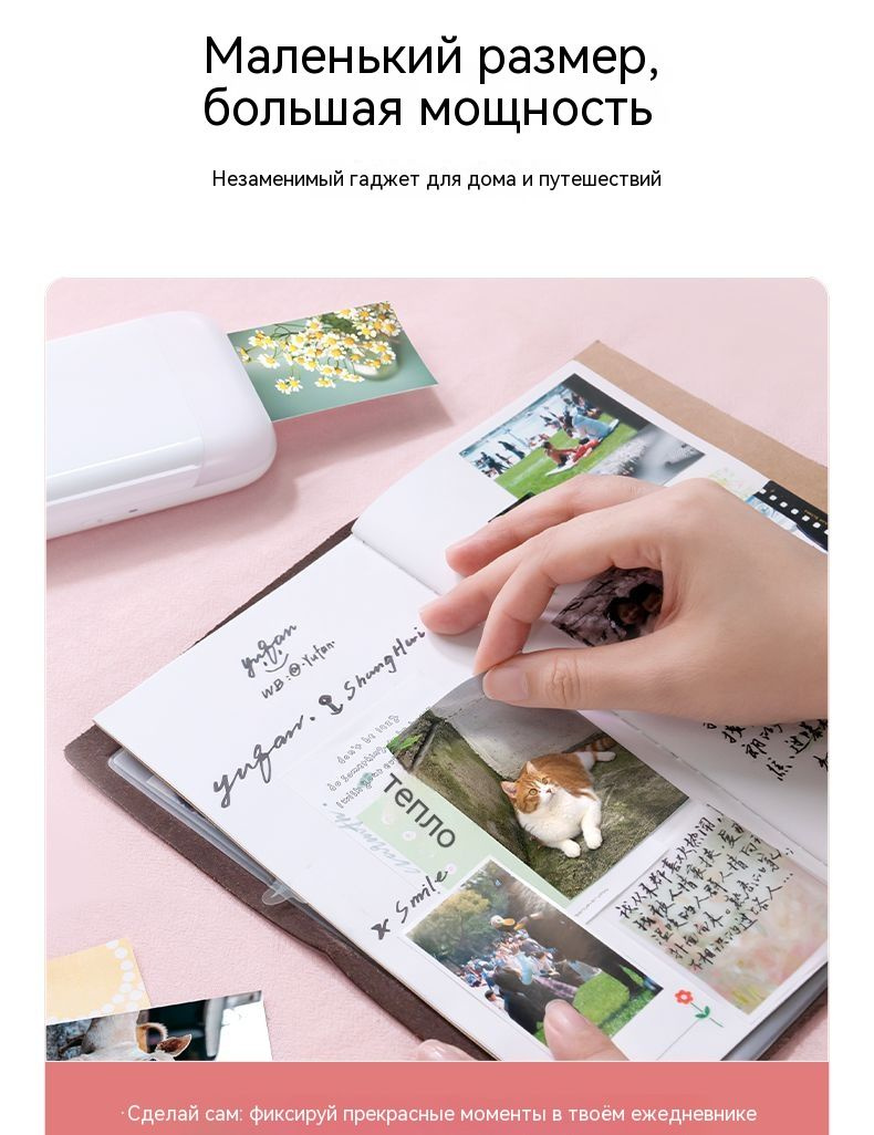 Xprinter Мини-принтер термо, Цветной купить на OZON по низкой цене ...