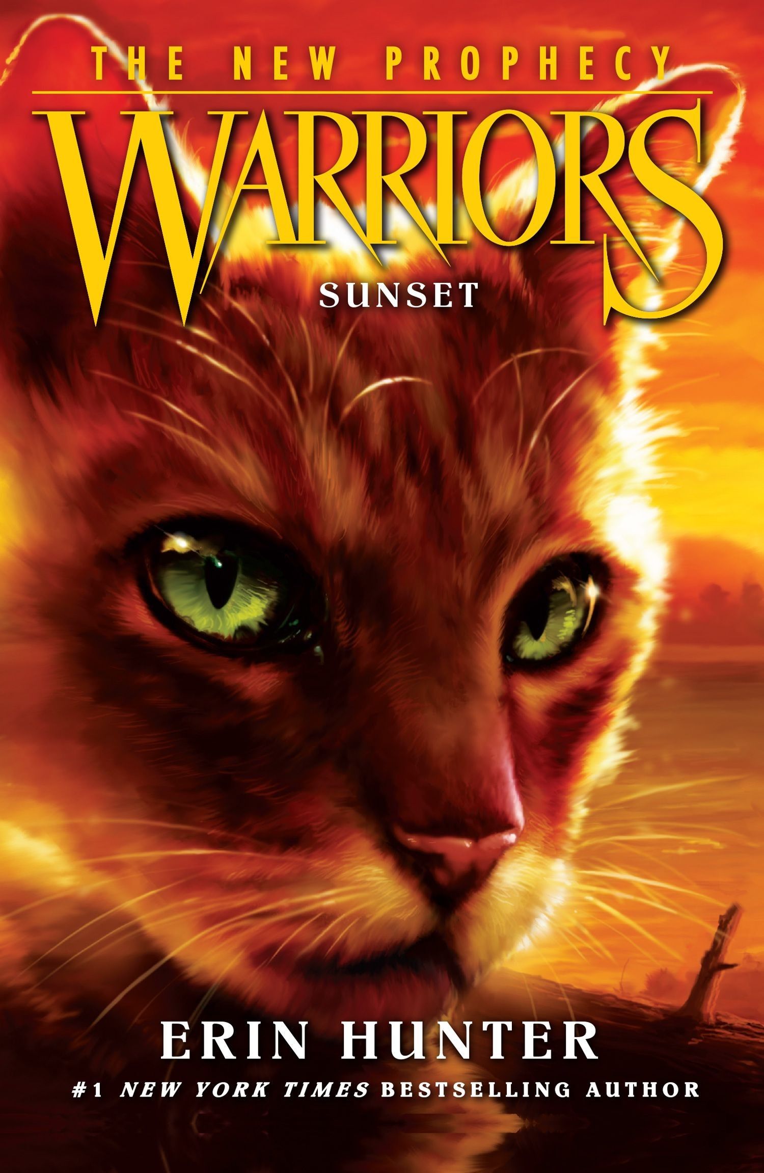 Sunset / Коты-воители. Закат / Книга на Английском | Hunter Erin купить ...