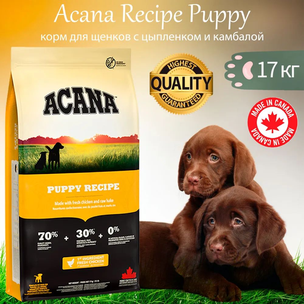 Acana Recipe Puppy & Junior (70/30) 17 кг беззерновой сухой корм для ...