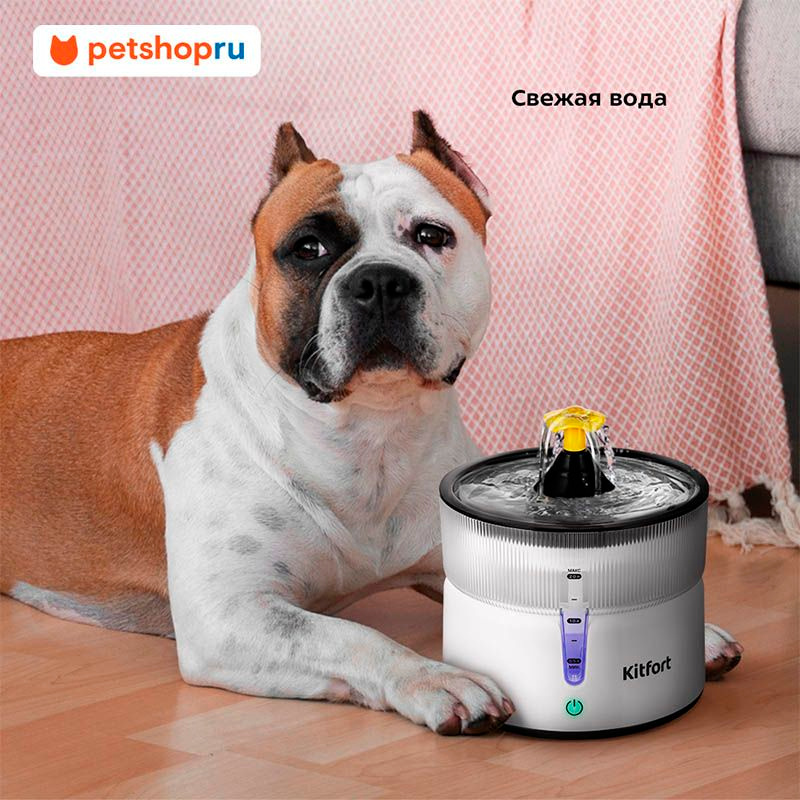 Kitfort Автоматическая поилка-фонтанчик для кошек и собак КТ-6244 купить на OZON по низкой цене ...