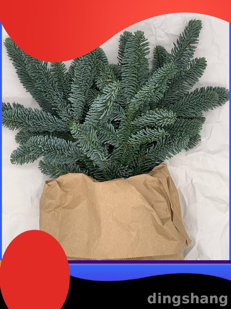 Премиум ветви ели 67 см Nobilis-zhangshiliang-dingshang купить на OZON ...