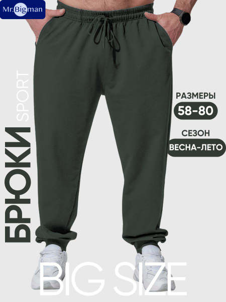 Брюки Мужской MR. BIGMAN джоггеры хаки, темно-зеленый Хлопок, Полиэстер Повседневный, размер 78 ...