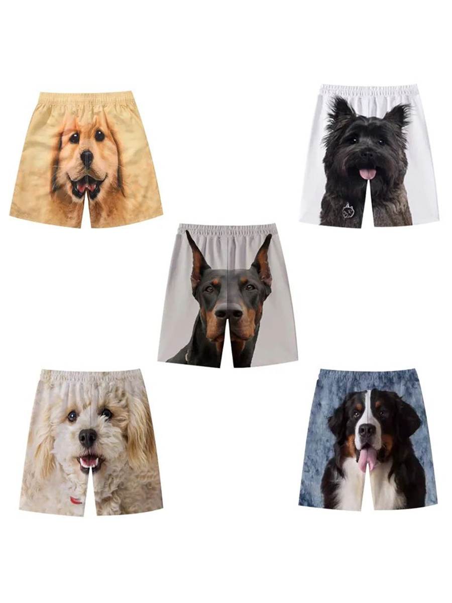 Брюки Мужской, Женский SYJYW разноцветный для дома Полиэфирный шелк, размер 56 Затягивающийся ...