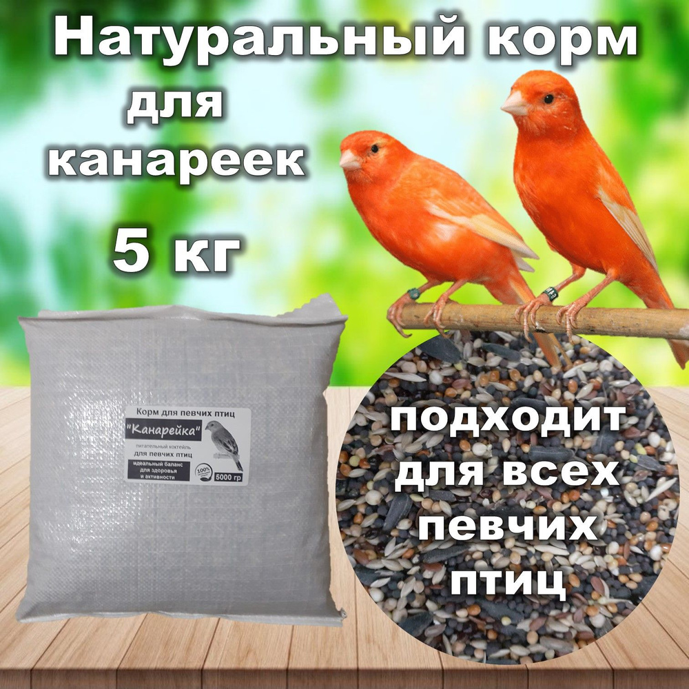 Корм для канареек, певчих птиц "Канарейка", 5 кг - купить с доставкой ...