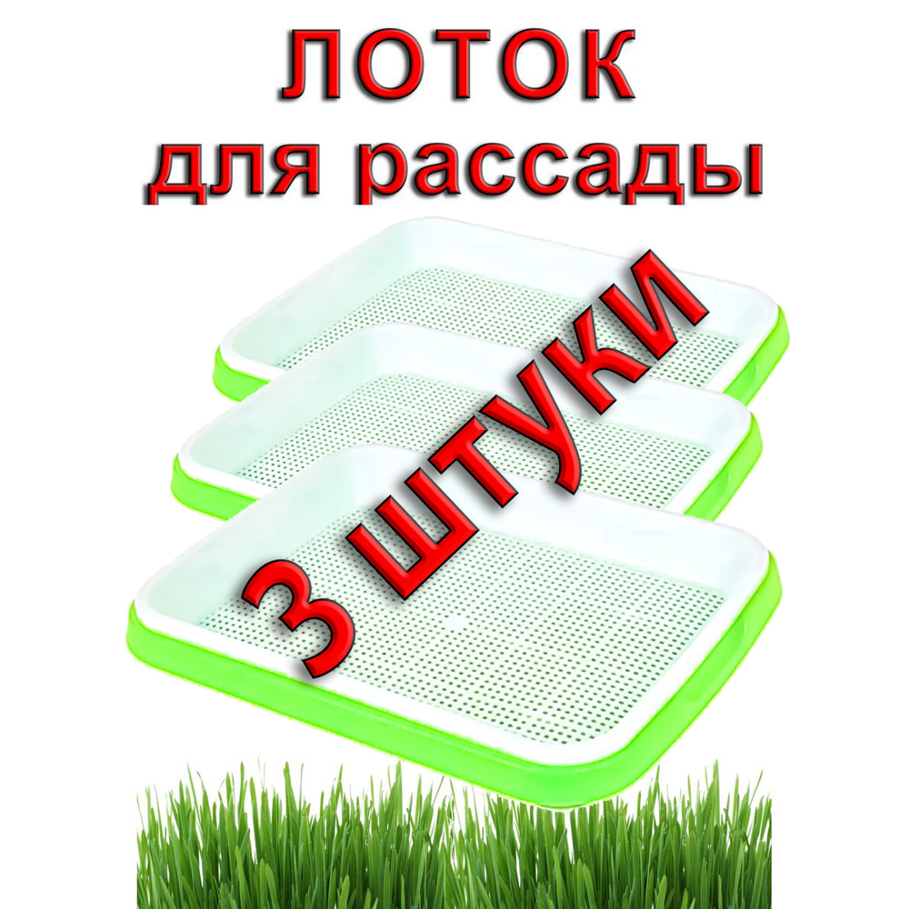 Проращиватель для микрозелени, ростков пшеницы, 3 штуки - купить с ...