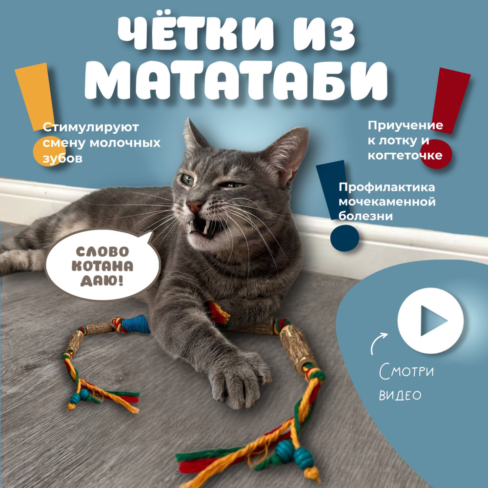 Игрушка для кошек палочки мататаби купить на OZON по низкой цене ...