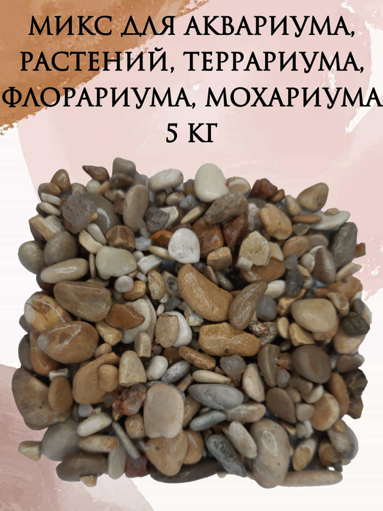 Камни натуральные грунт / Галька для аквариума, растений, террариума ...