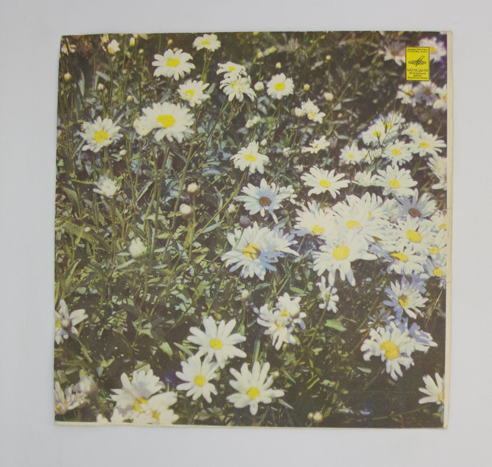 Виниловая пластинка Мигель Рамос - Орган Хаммонд , LP, VG, C3-9747-54 купить на OZON по низкой ...