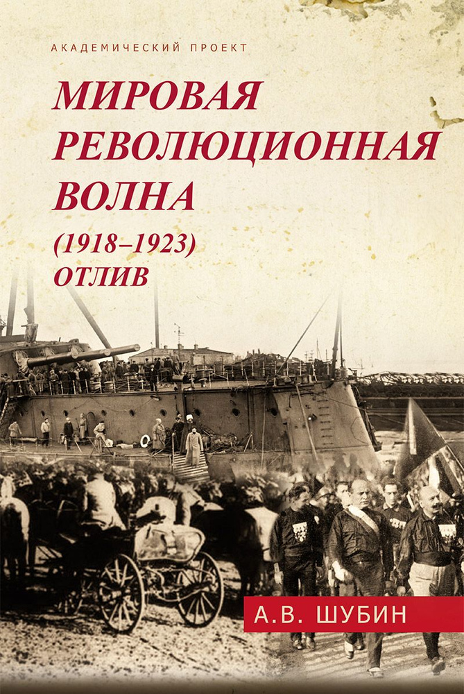 Мировая революционная волна (1918-1923). Отлив | Шубин Александр Владленович купить на OZON по ...