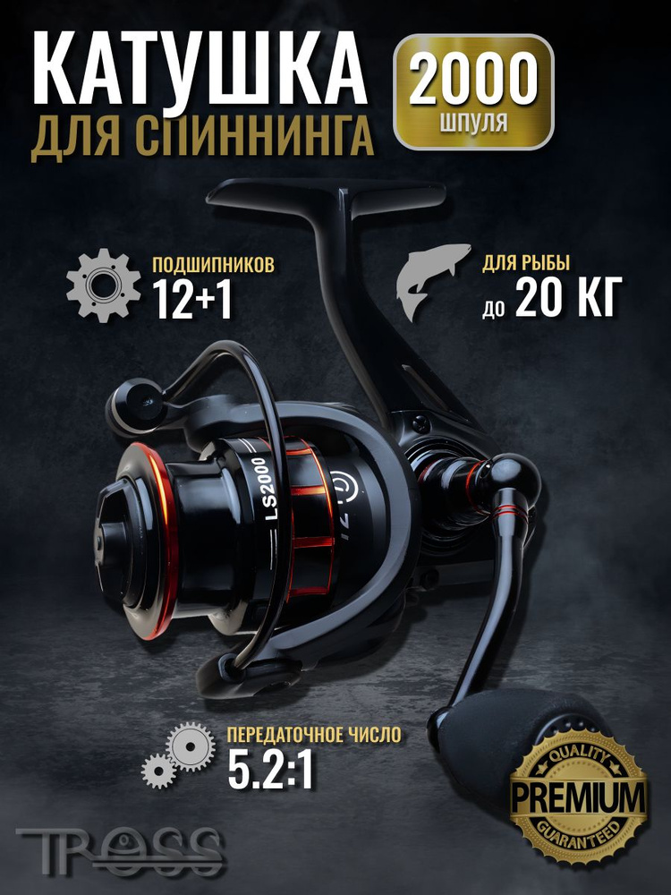 Катушка LS, Безынерционная, 2000 купить c доставкой на OZON по низкой ...