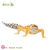 CollectA Эублефар (Leopard Gecko), фигурка рептилии, коллекционная ...