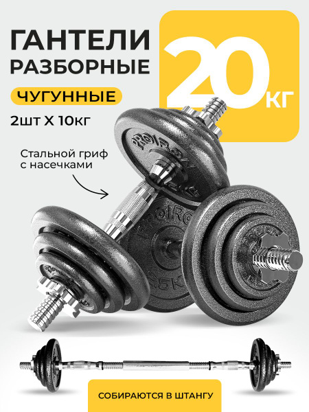 Гантели PROIRON Г21ЧУГ, 2 шт. по 10 кг, серый купить c доставкой на OZON по низкой цене (1390966259)