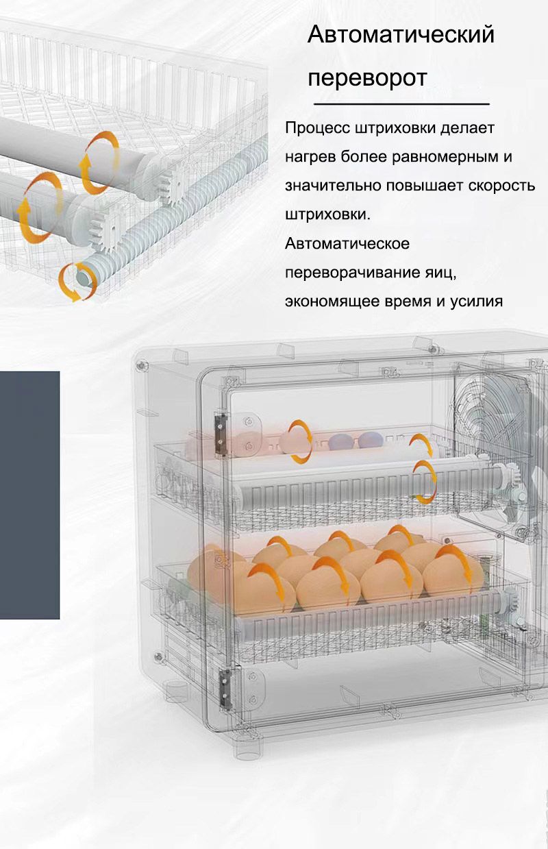 Инкубатор для яиц автоматический, 24 яиц - купить с доставкой по ...