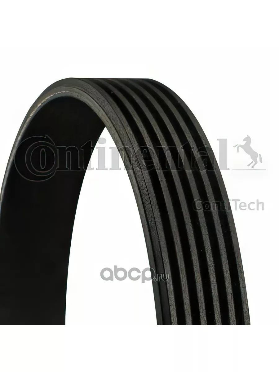 Ремень ручейковый CONTITECH купить на OZON по низкой цене (1777239095)
