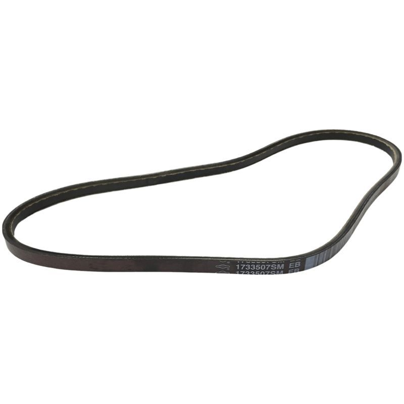 1733507SM Ремень привода шнека Simplicity купить на OZON по низкой цене ...
