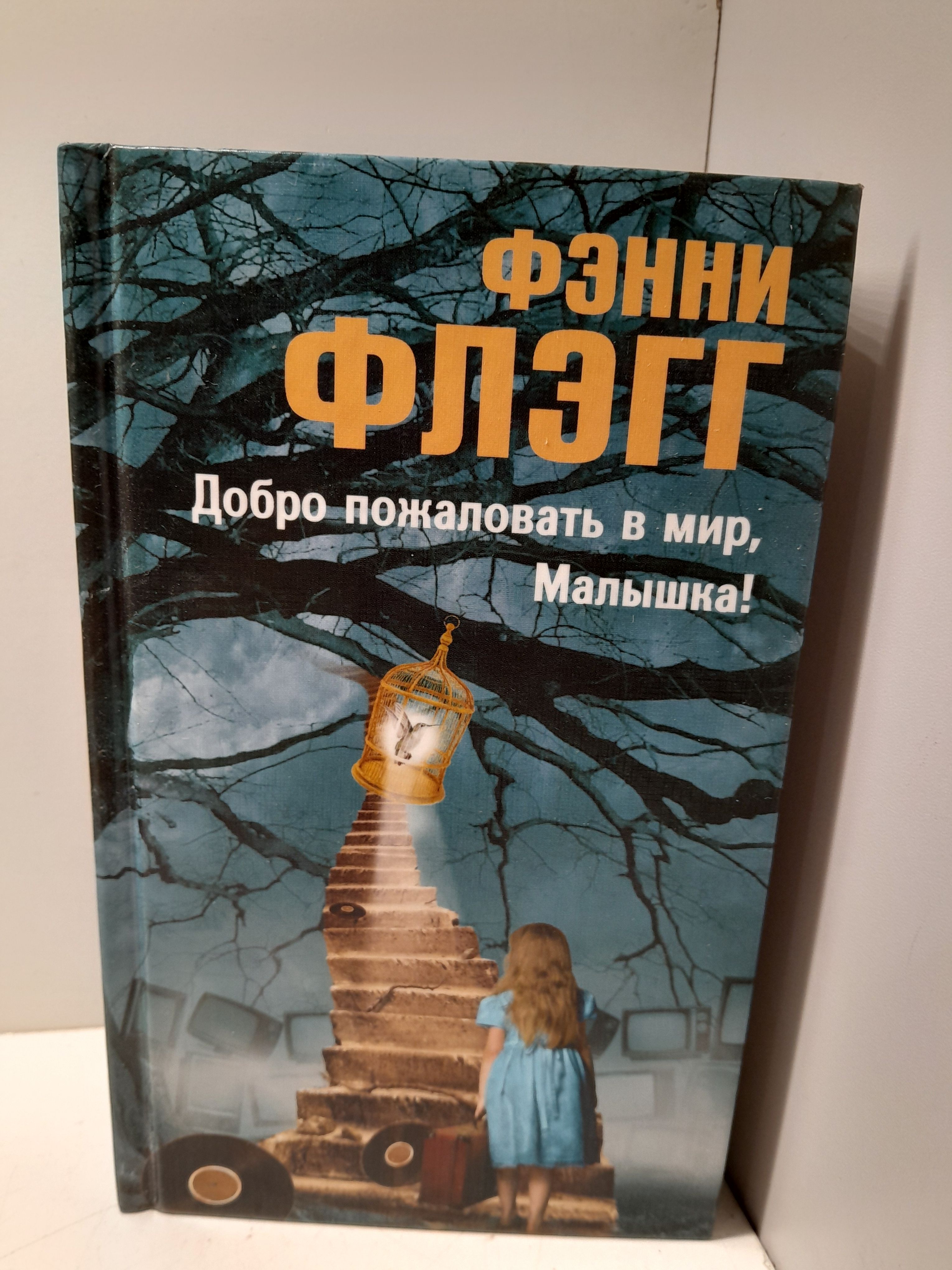 Добро пожаловать в мир, малышка! / Флэгг Фэнни купить на OZON по низкой ...