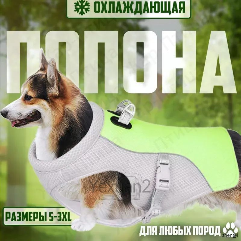 Каталог taoxixiaodian – интернет-магазин taoxixiaodian на OZON