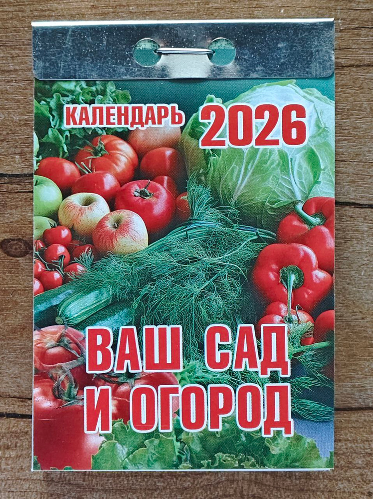 Атберг 98 Календарь 2026 г., Отрывной, 7,5 x 12 см купить на OZON по низкой цене (2761672317)