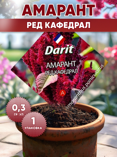 Амарант Darit 19481, 3 г - купить с бесплатной доставкой в OZON ...