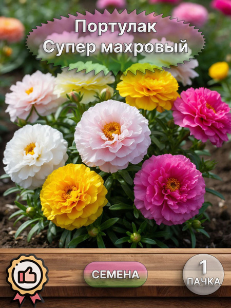 Портулак АртСад Портулак, 15 г - купить с бесплатной доставкой в OZON ...