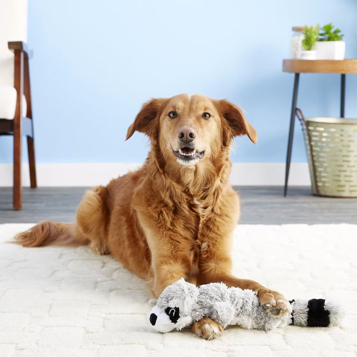 Kong Scrunch Knots Raccoon Игрушка для собак Енот с хрустящими узелками ...